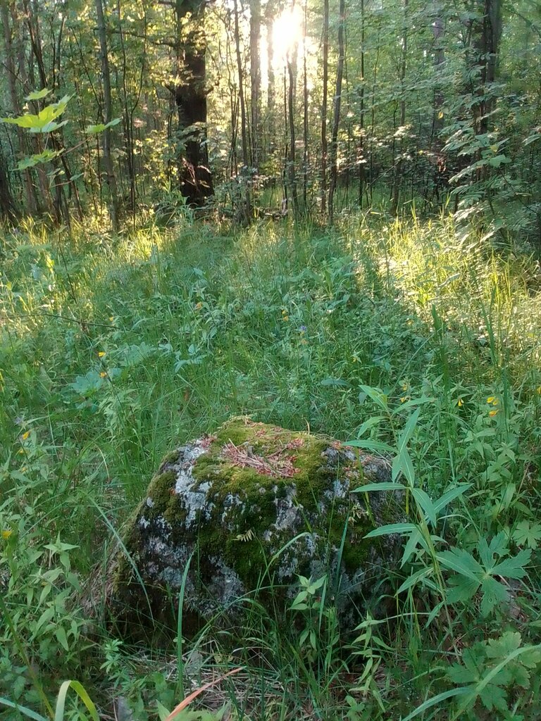 Doğa Ильюхин камень, Saint‑Petersburg ve Leningradskaya oblastı, foto