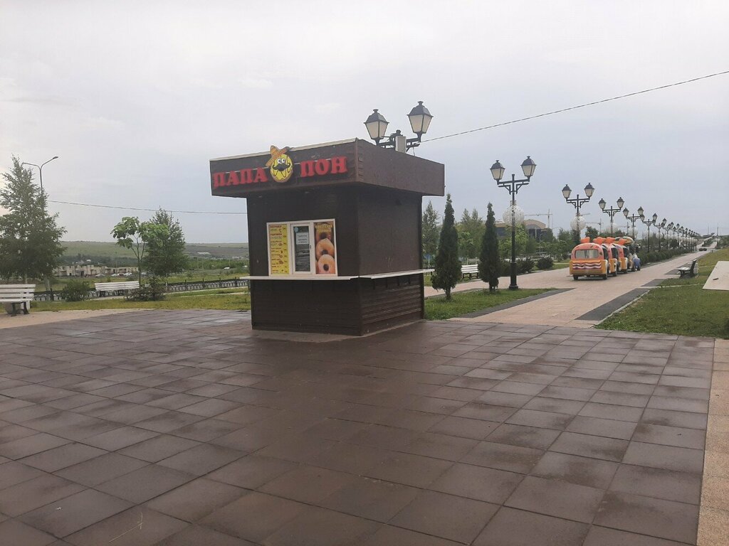 Fast food Папа Пон, Saratov, foto