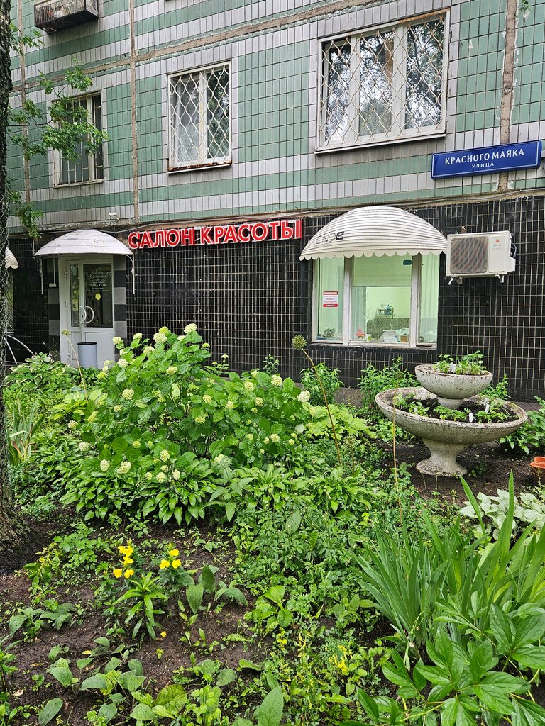 Güzellik salonu Aleksa, Moskova, foto