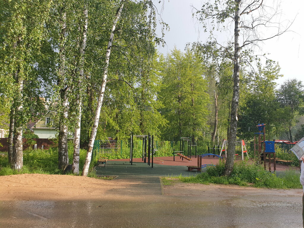 Oyun alanı Playground, Moskova ve Moskovskaya oblastı, foto