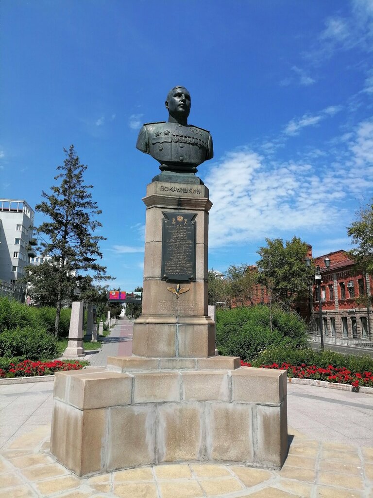 Anıt, heykel А.И. Покрышкин, Novosibirsk, foto