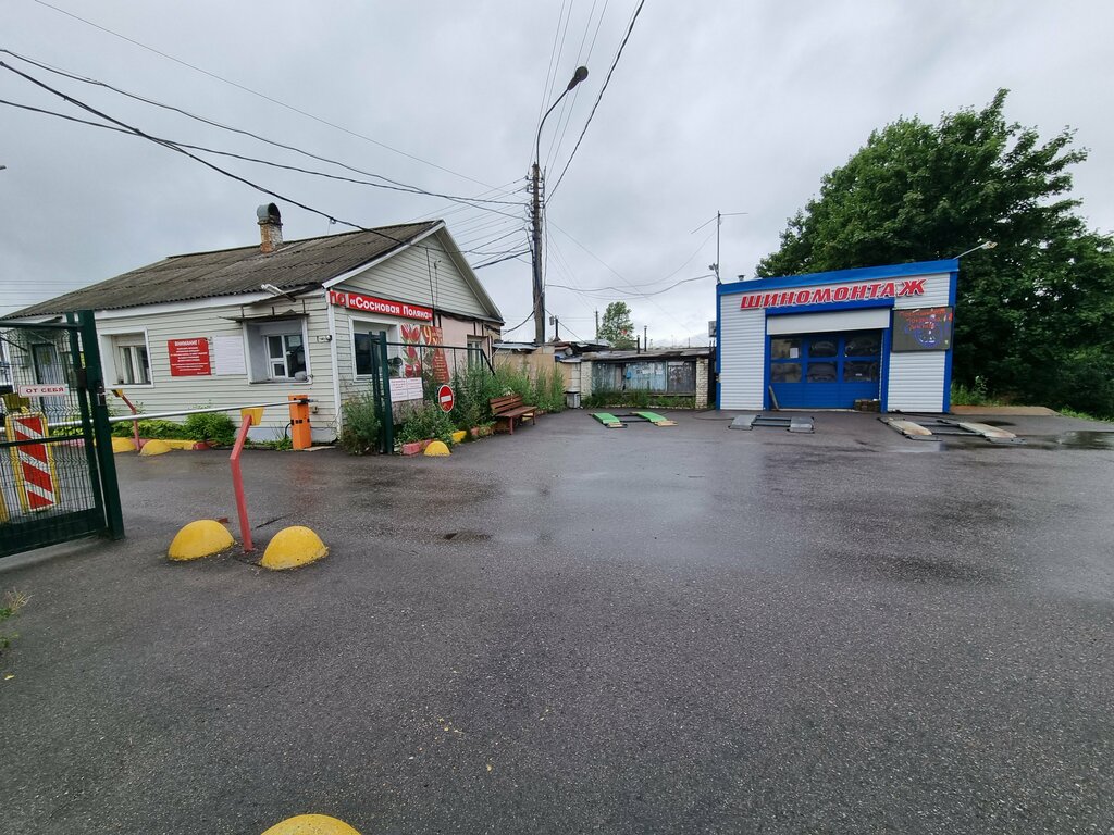 Detaylı oto bakımı ЧистоДрайв, Saint‑Petersburg, foto