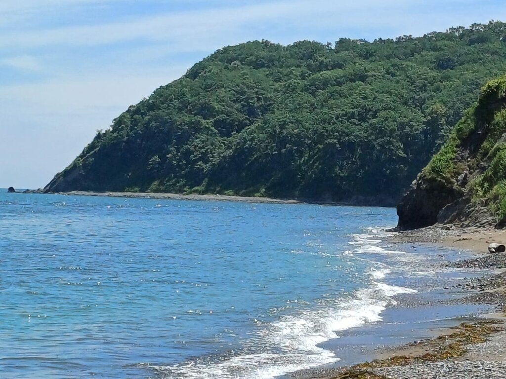 Resort oteller, tesisler Baza otdykha Zapovednaya, Primoriye, foto
