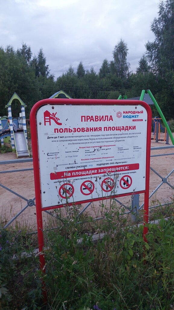 Oyun alanı Детская площадка, Vologda, foto