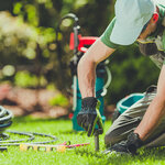 Gulf Dunes Landscaping & Agricultural Services Company (Royal Group, Al Halawi Street, Ministries Complex, Abu Dhabi), elektrik servisi  Abu Dabi'den