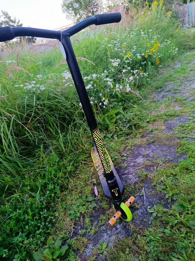 Bahçecilik dernekleri ve kuruluşları Энергетик, Moskova ve Moskovskaya oblastı, foto