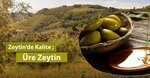 İbrahim Üre Zeytincilik (Hisar Mah., Yalova Cad., No:38, Gemlik, Bursa), tarım ürünleri firmaları  Gemlik'ten