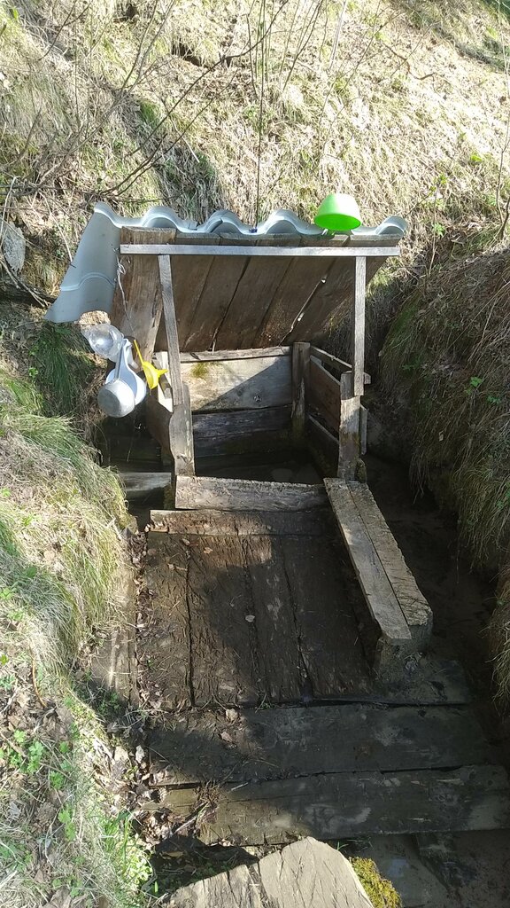 Pınar, çay Spring, stream, Novosibirskaya oblastı, foto