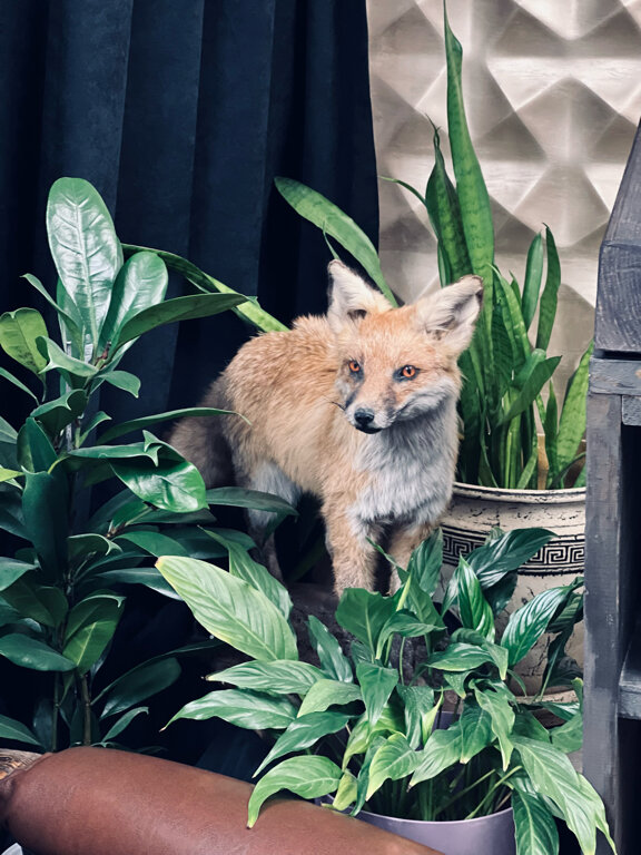 Falcılar ve medyumlar Студия Мэрилин Керро, Moskova, foto