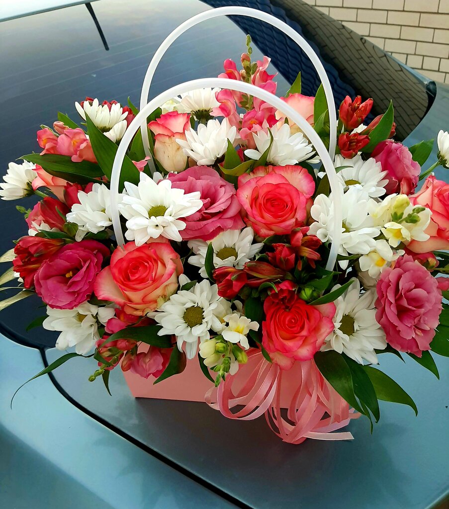 Çiçekçiler Радуга цветов, Volgogradskaya oblastı, foto