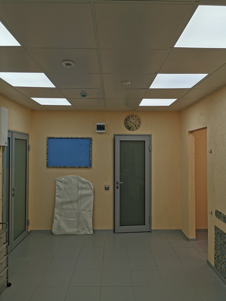 Telefon tamir servisi I-Bolit, Kursk, foto