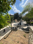 Ha-Pa'Amon Garden (Jerusalem, Ha-Pa'Amon Garden), jant ve lastikçiler  Kudüs'ten