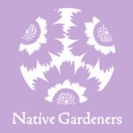 Native Gardeners (United States, Euless, 407 S Pipeline Road East), peyzaj tasarımı  Texas'tan