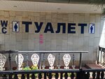 Toilet (Saqichmon koʻchasi No:1Б), tuvalet  Taşkent'ten