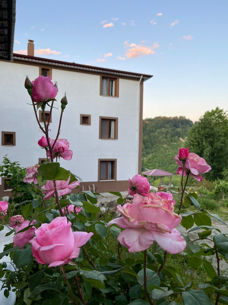 Pansiyonlar, hosteller Hayrat Apart, Hayrat, foto