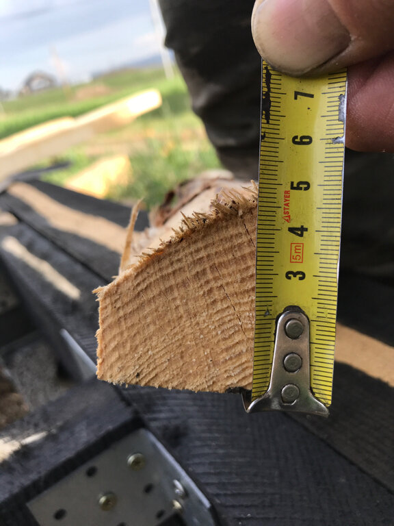 Ahşap endüstrisi МирЛеса24.рф, Krasnoyarski krayı, foto