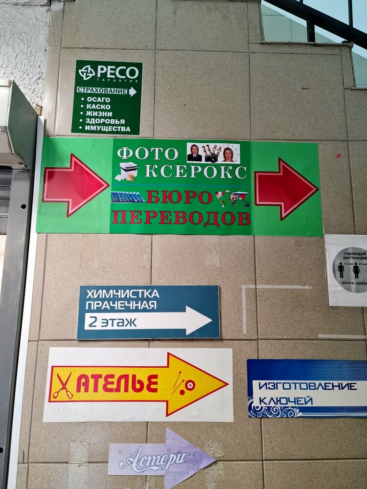 Fotoğraf hizmetleri PhotDok, Zelenograd, foto