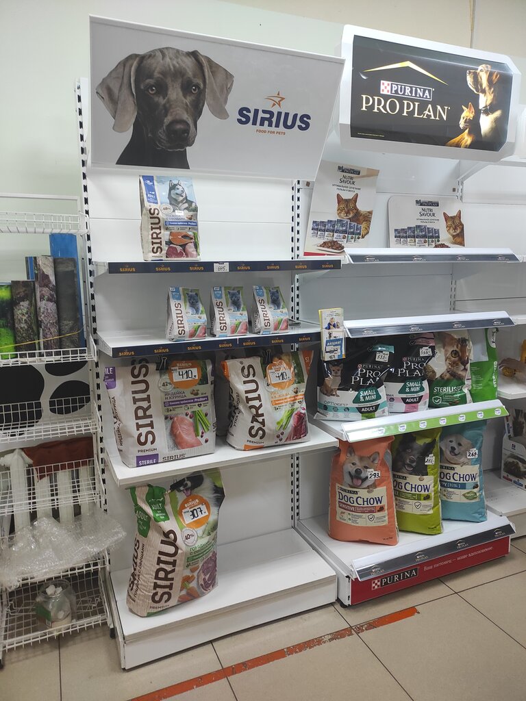 Petshop БорЗООта, Cherepovets, foto