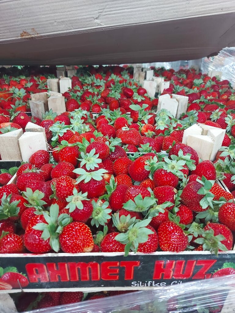 Gıda pazarı Летний рынок, Şçolkovo, foto