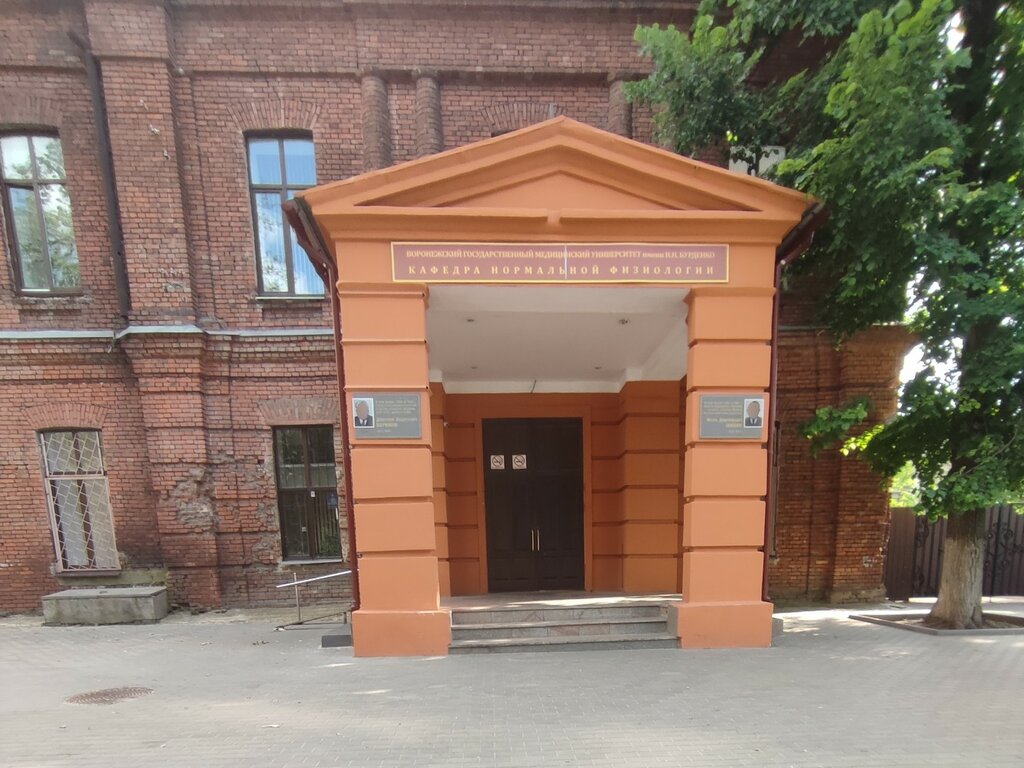 Üniversiteler Воронежский государственный медицинский университет, санитарный корпус №, Voronej, foto