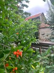 Villa Maya Veseloe (Подгорная улица No:18, село Весёлое), otel  Kırım Cumhuriyeti'nden