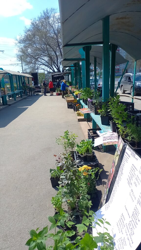 Gıda pazarı Rynok, Prokopyevsk, foto