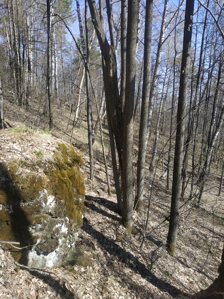 Dağ zirvesi Гора Колокольня, Komi, foto