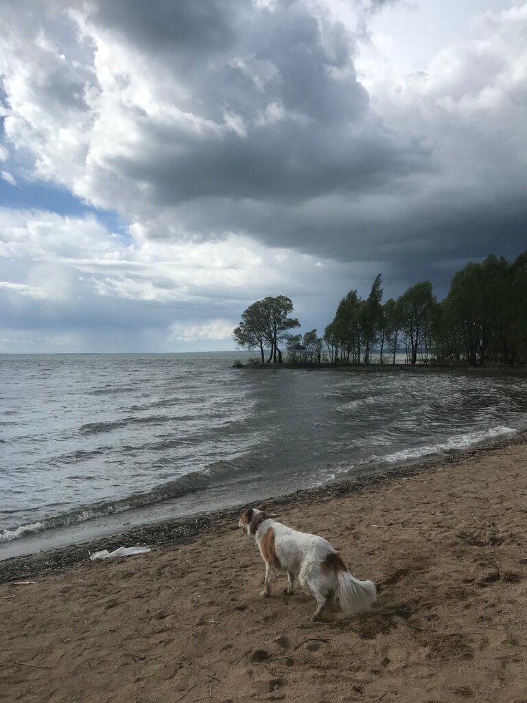 Resort oteller, tesisler Plescheyevy Zori, Pereslavl‑Zalesski, foto