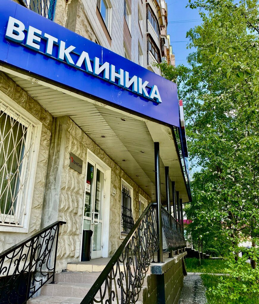 Veteriner klinikleri Vetklinika doktora Vadima Schemerova, Moskova, foto