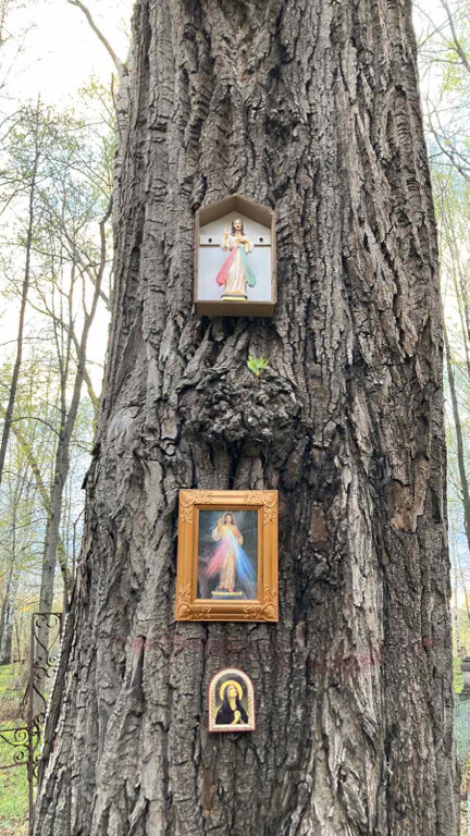 Şapel, haç anıtı Образ Иисуса Милосердного, Perm, foto