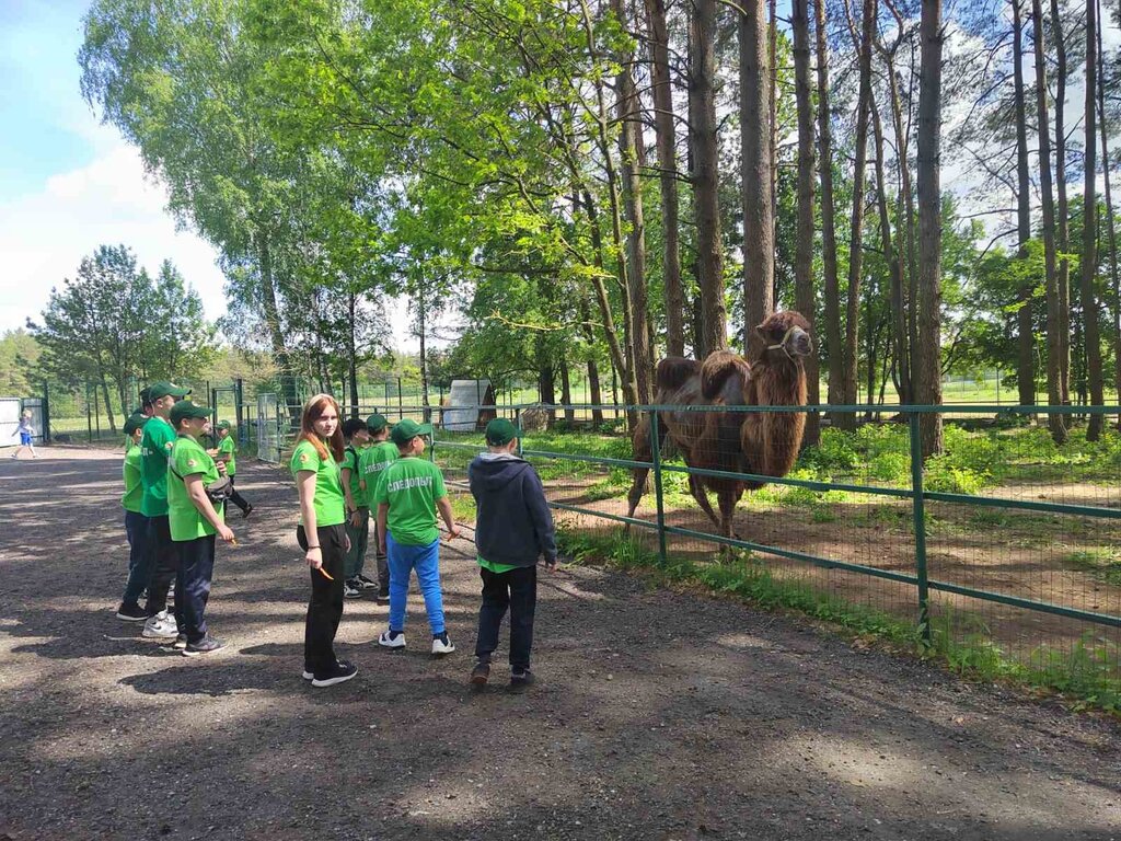 Yaz kampı Club Sledopyt, Minskaya oblastı, foto
