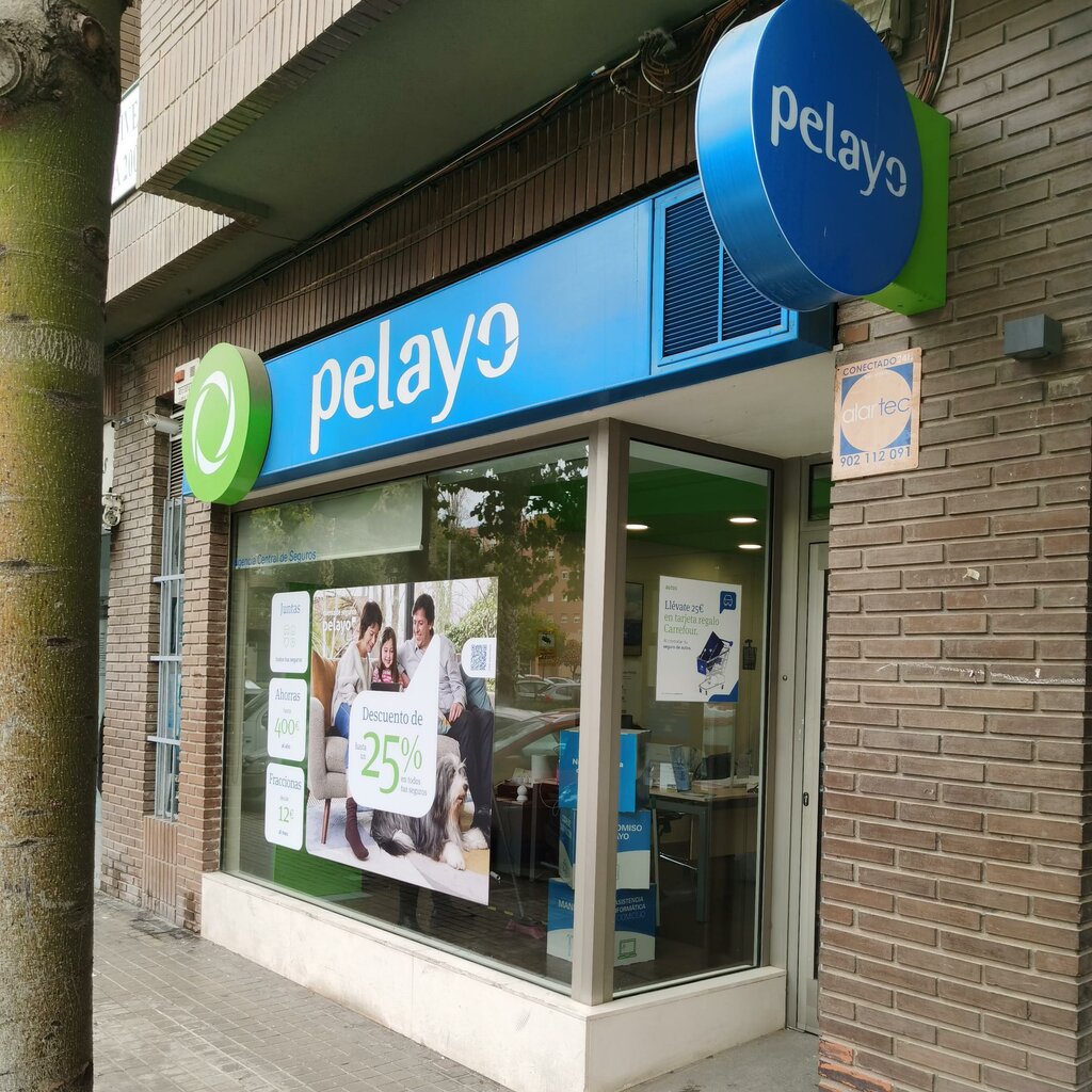 Sigorta şirketleri Oficina Seguros Pelayo, Valensiya, foto