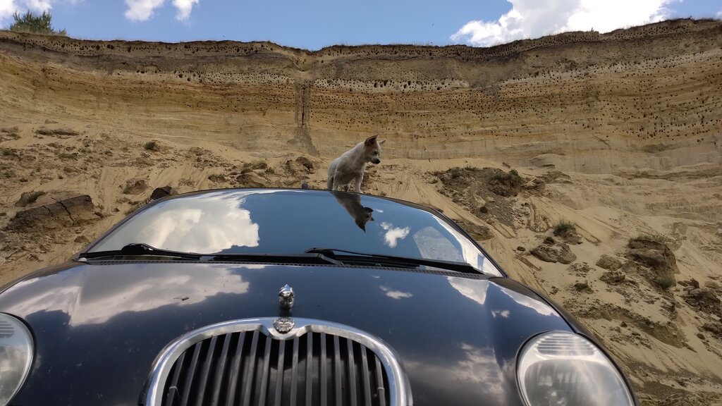 Plaj Пляж, Tambovskaya oblastı, foto