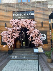 Trattoria540 (Gornaya Karusel Street No:6), restoran  Soçi'den