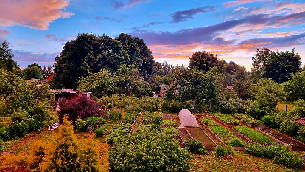 Konuk evi Гостевой дом Самадхи, Moskova ve Moskovskaya oblastı, foto