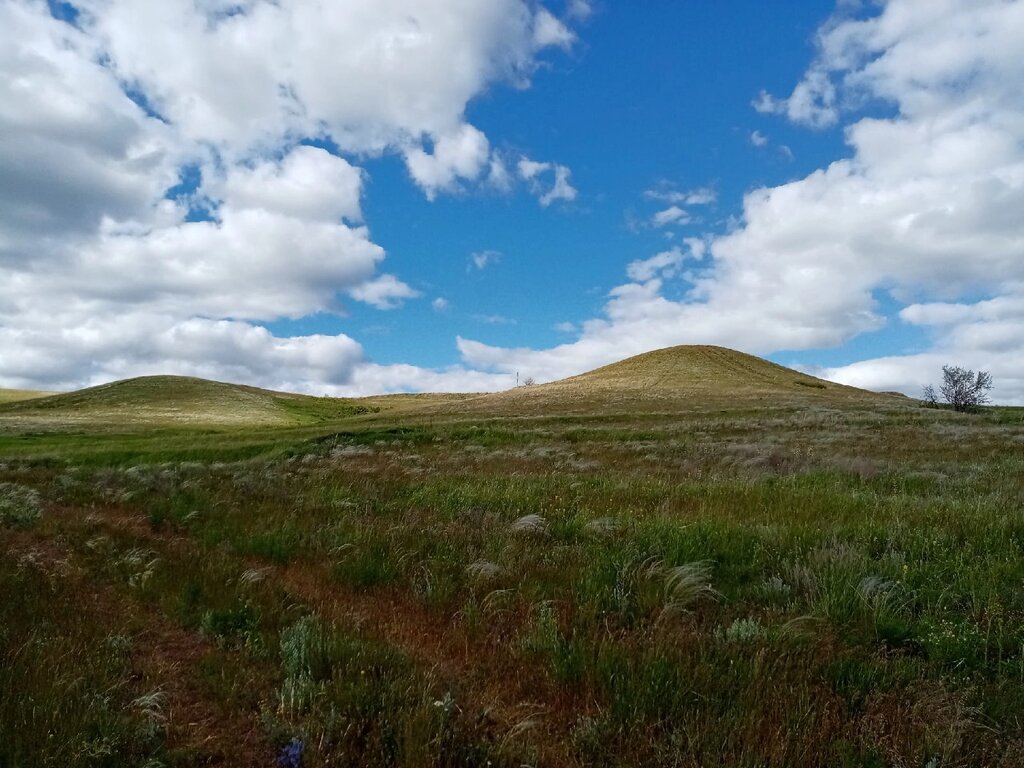 Dağ zirvesi Гора Жарин бугор, Saratovskaya oblastı, foto