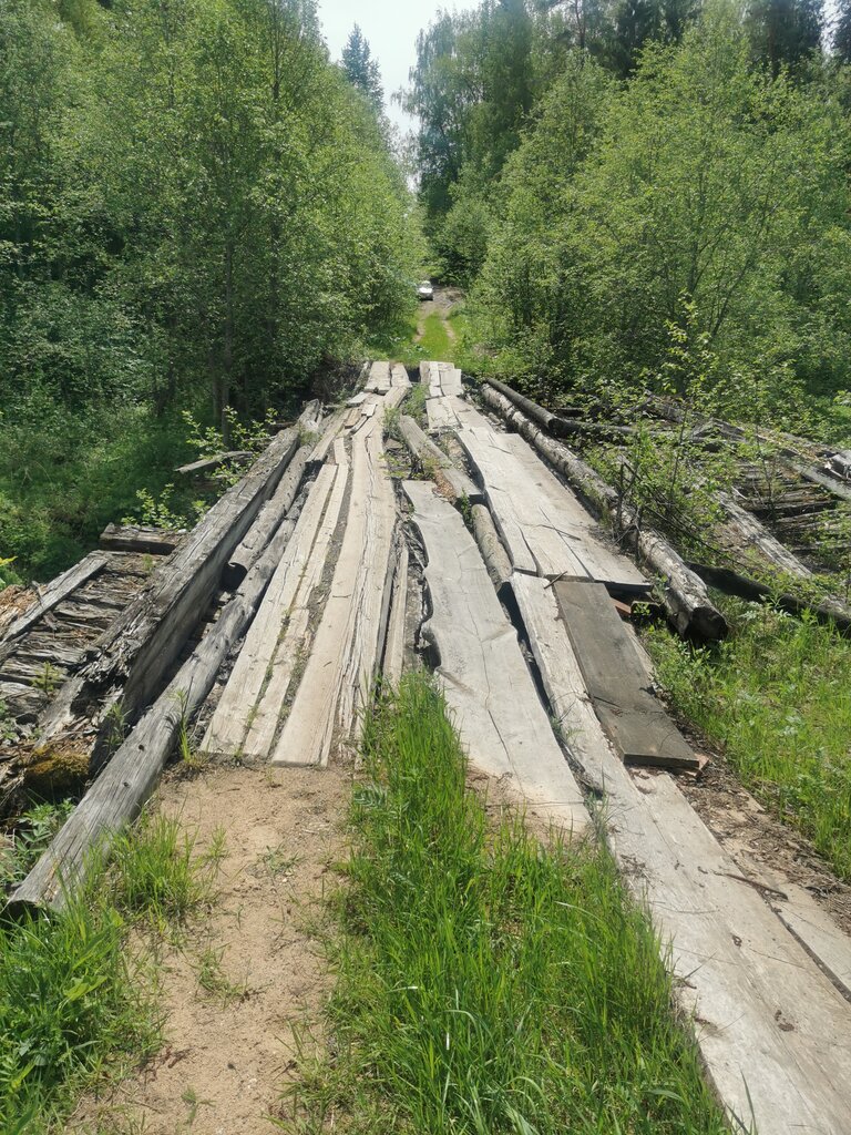 Turistik yerler Деревянный мост в село Спасское, Kostromskaya oblastı, foto