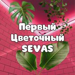 1FlowersSevas (Столетовский проспект No:27), çiçekçiler  Sevastopol'dan