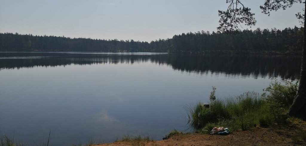 Plaj Пляж, Tverskaya oblastı, foto