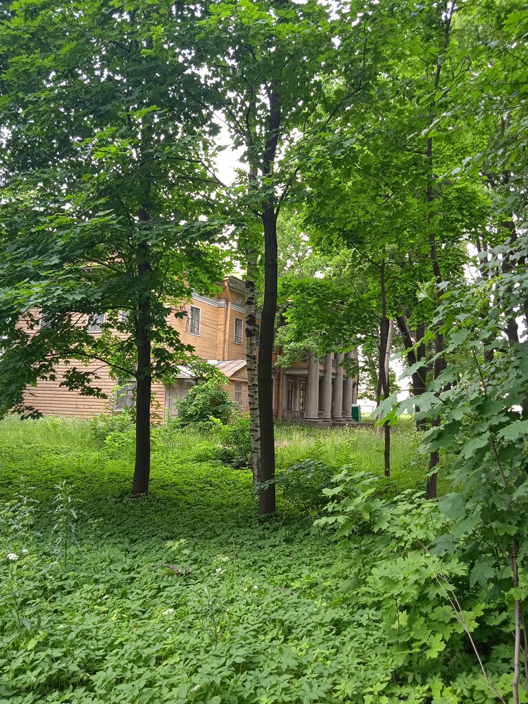 Turistik yerler Дача Головина, Saint‑Petersburg, foto