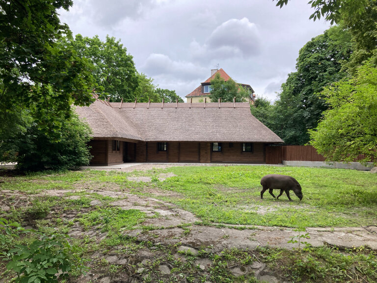 Hayvan muhafazaları Тапиры, Kaliningrad, foto