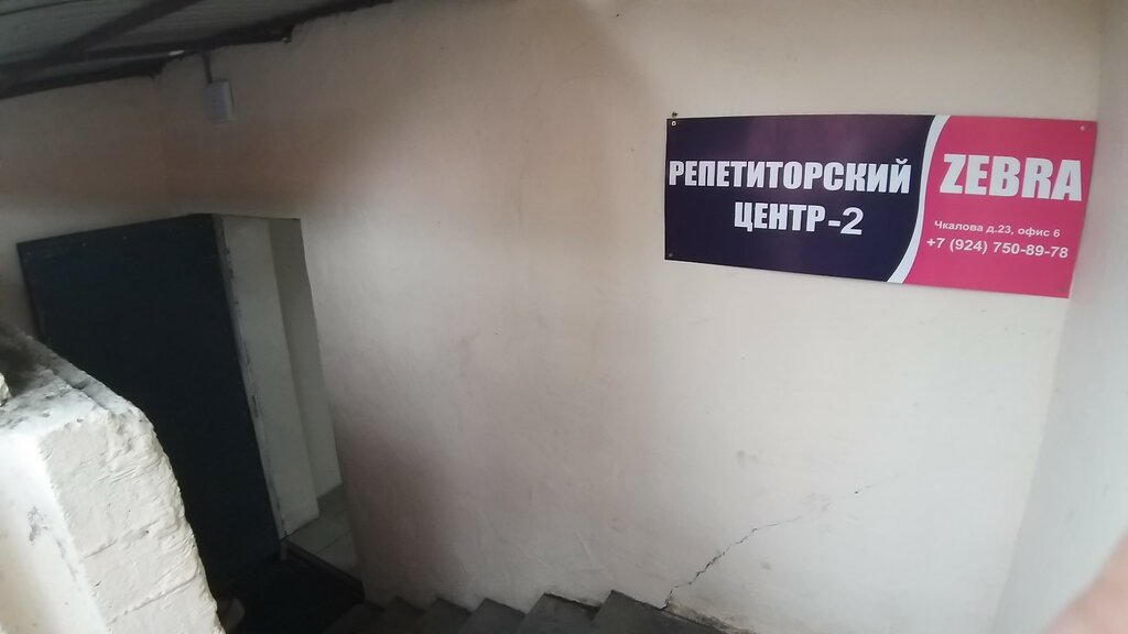 Özel ders hizmetleri Zebra, Ulan‑Ude, foto