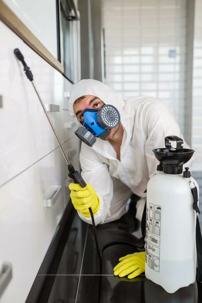 Haşere ilaçlama firmaları Ortex Termite and Pest Control, Tennessee Eyaleti, foto