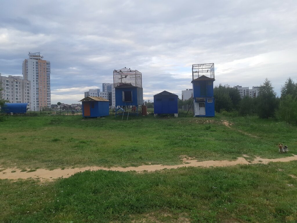 Kuşlar için büyük kafes Голубятня, Minsk, foto