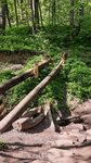 Spring, stream (Moscow Region, Krasnogorsk Urban District), pınar, çay  Moskova ve Moskovskaya oblastından