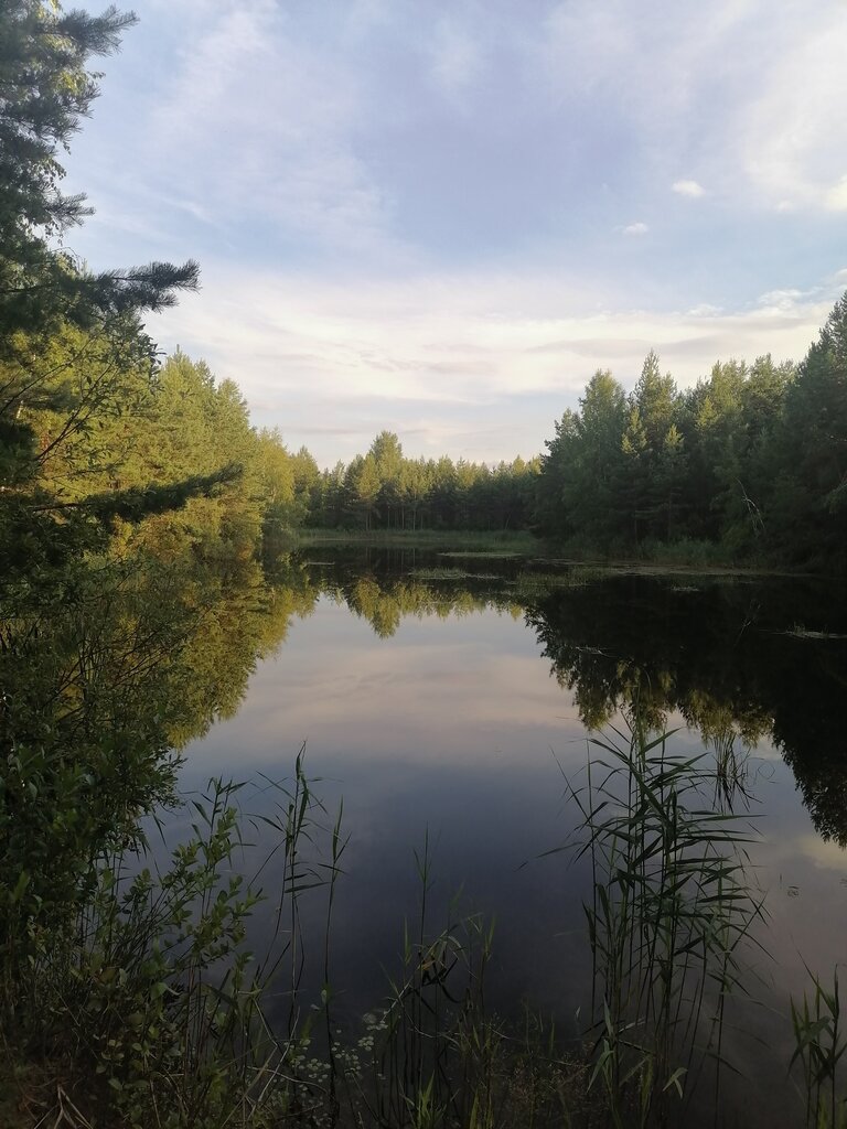 Plaj Beach, Moskova ve Moskovskaya oblastı, foto