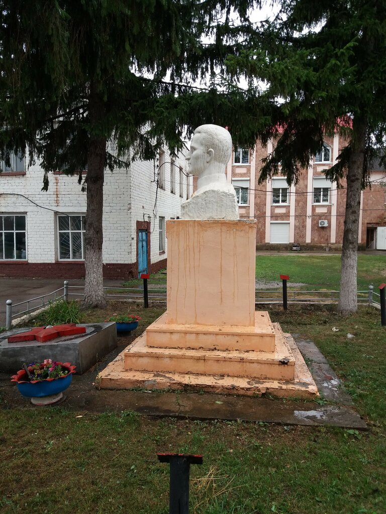 Anıt, heykel Бюст Героя Советского Союза М.Я. Сорокина, Abdulino, foto