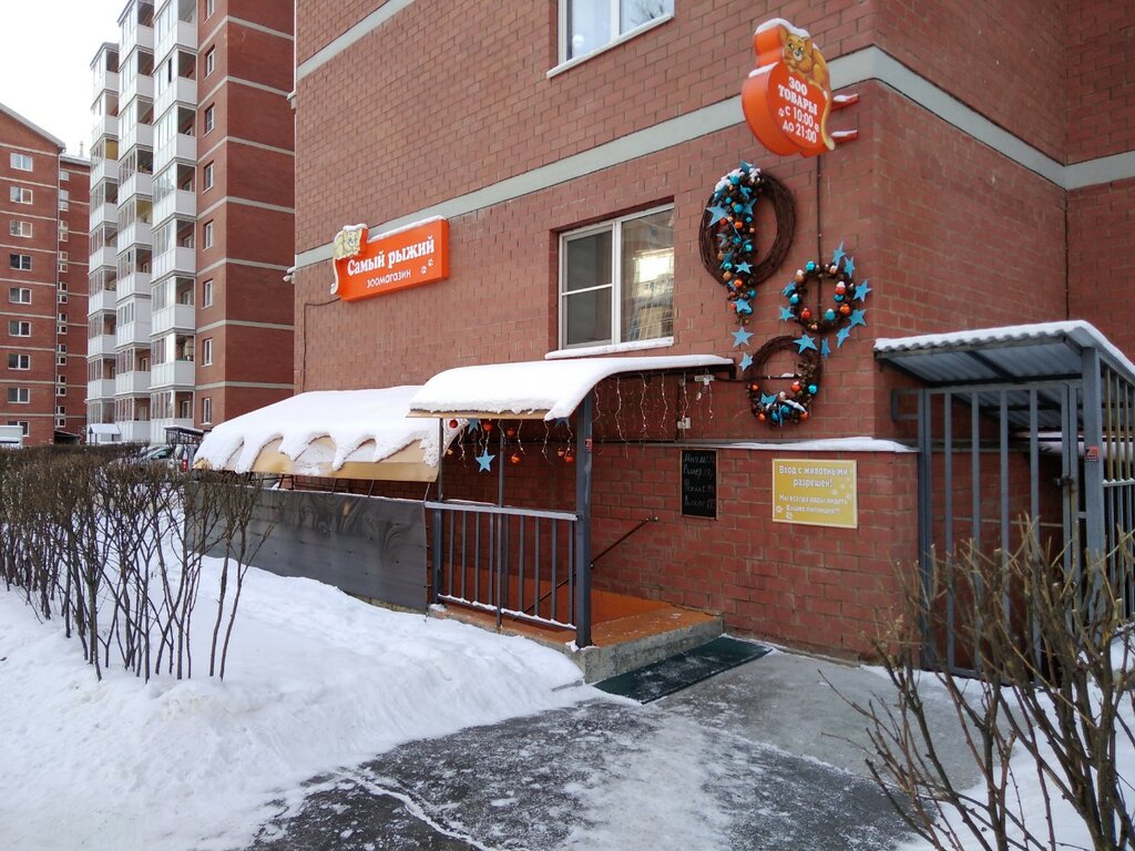 Petshop Самый рыжий, Irkutsk, foto