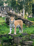 Riga Zoo (Meža prospekts No:1), hayvanat bahçeleri  Riga'dan