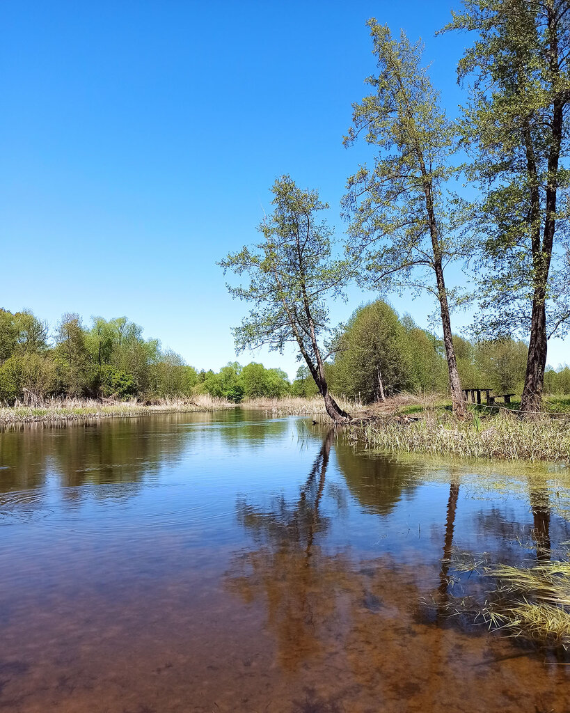 Plaj Пляж, Voronejskaya oblastı, foto